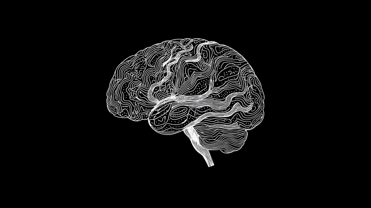 How To Remember Everything You Read With AI - Dan Koe